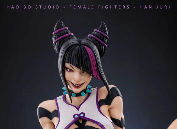 Hao Bo Studio Juri Han Figure - GKLOOP